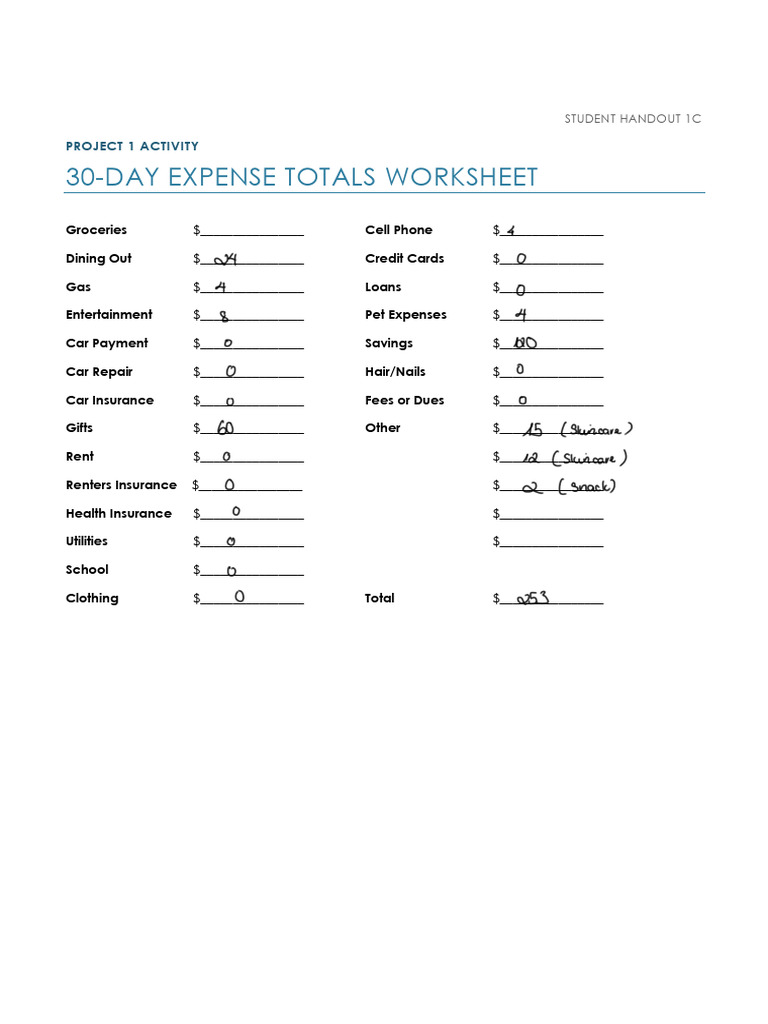 (Project 1) 01-Expense-Tracking | PDF