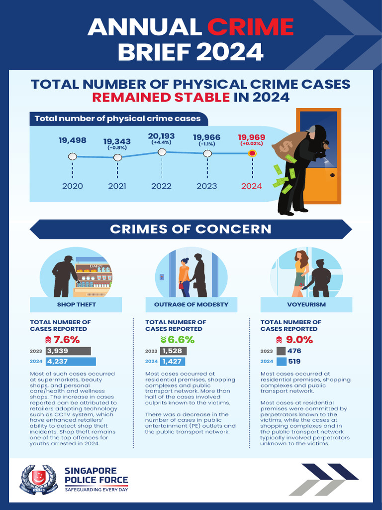 Annual Crime Brief 2024 Infographic | PDF