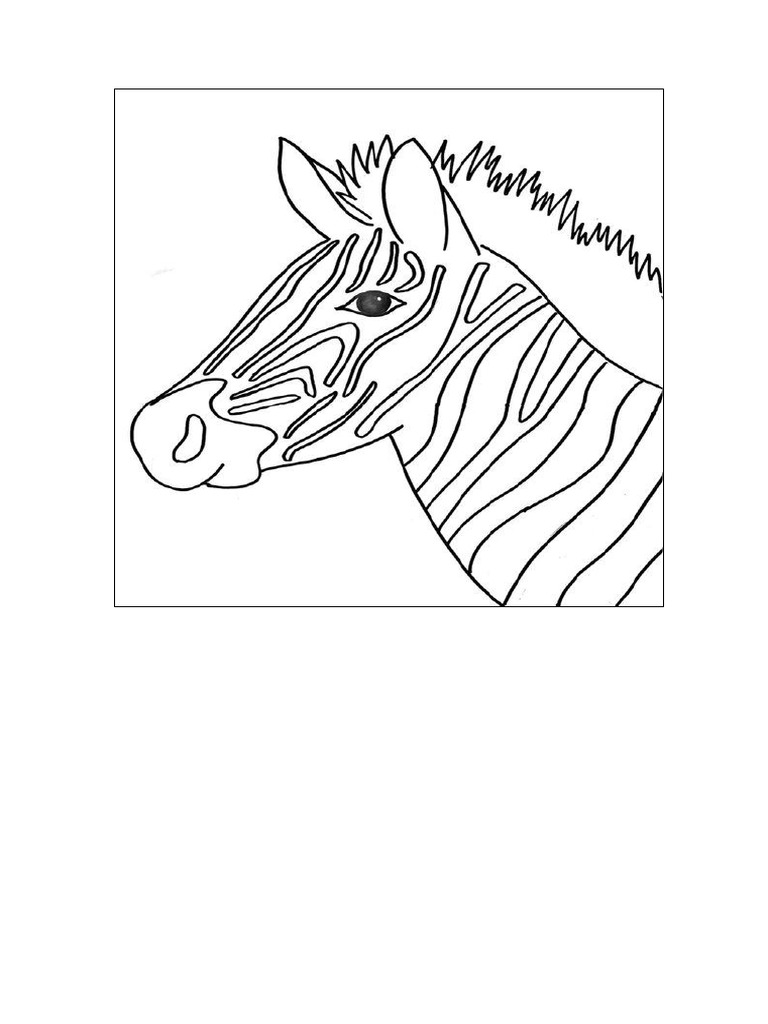 Zebra | PDF