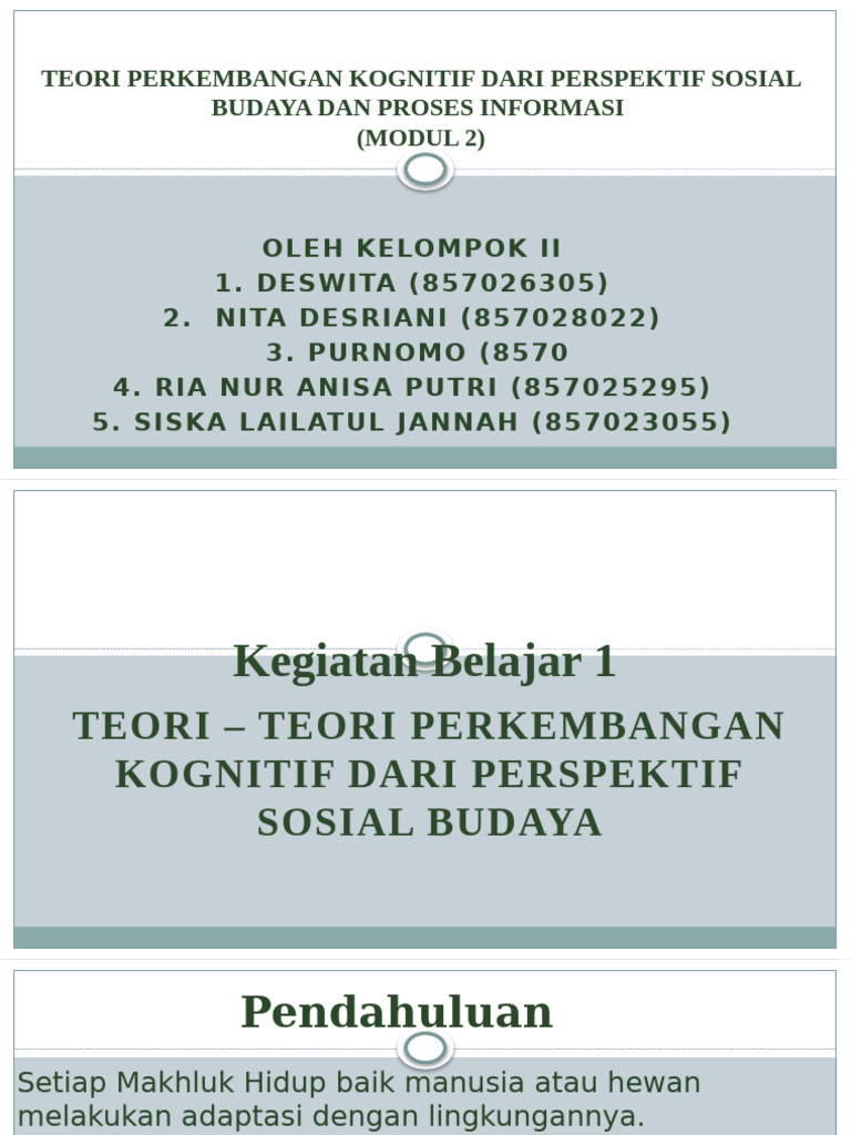 Modul 2 Teori Perkembangan Kognitif Dari Perspektif (PPD) | PDF