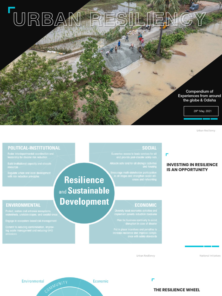 Urban_Resilience_29052021 | PDF | Emergency Management | Risk Management