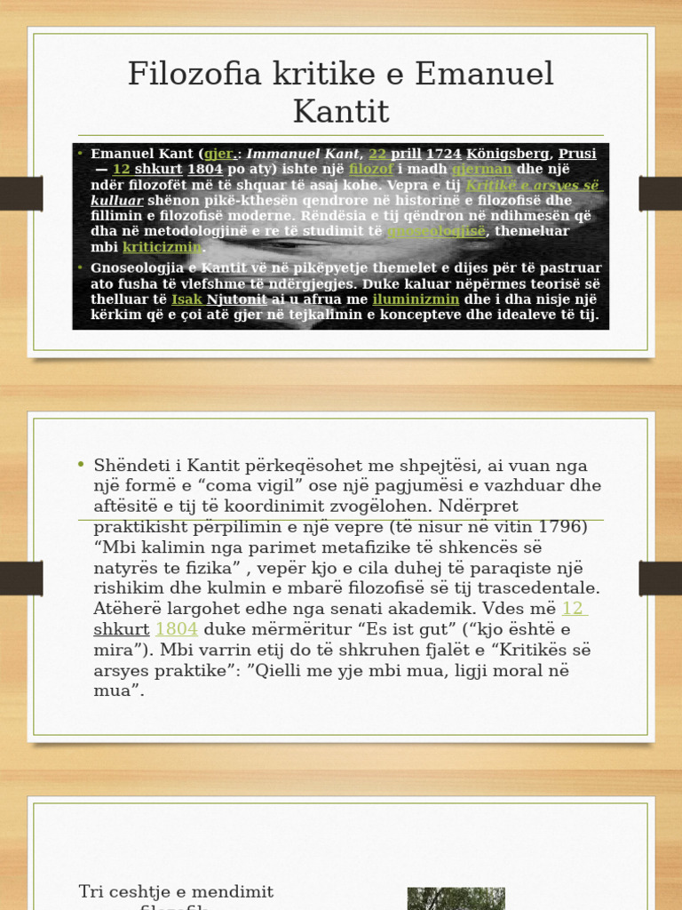 Filozofi KL 11 Filozofia e Kantit | PDF