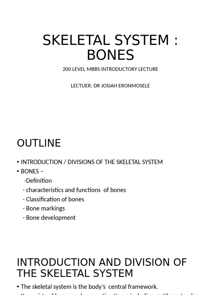 Overview of the Skeletal System | PDF | Bone | Skeleton