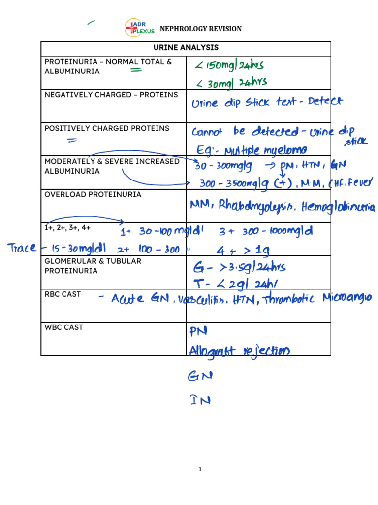 Nephrology Revision - 3 | PDF | Nephrology | Kidney