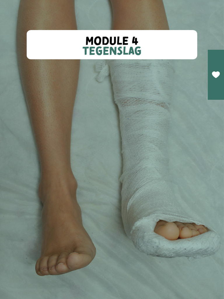 WF3-module 04 tegenslag | PDF