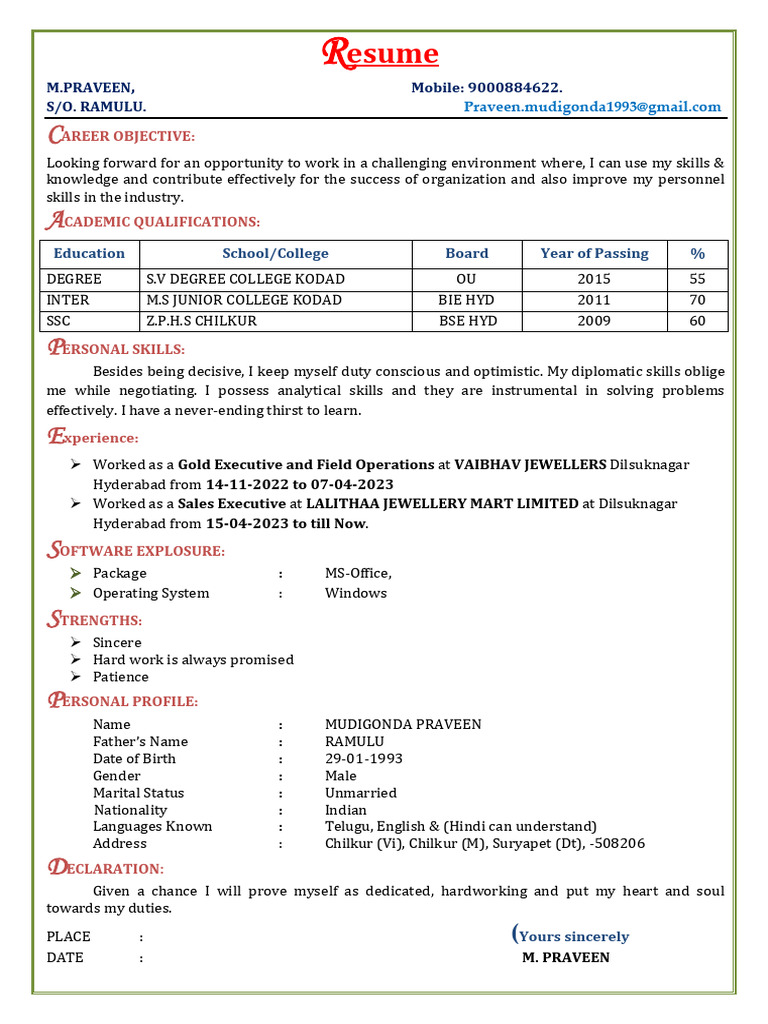 M. Praveen's Professional Resume | PDF