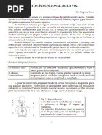 Tipos y Funciones de los Resonadores Vocales | PDF | Sonido | Boca