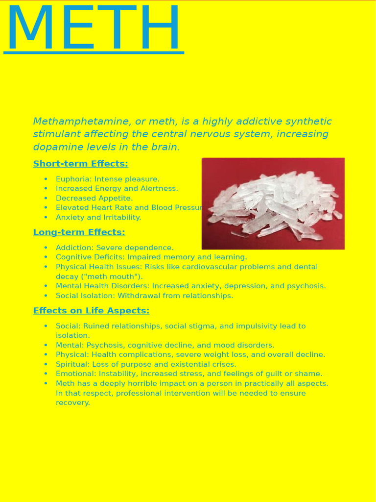Understanding Meth's Impact | PDF