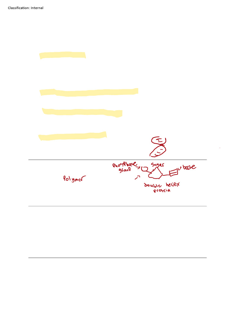 DNA Structure and Functions Worksheet | PDF | Dna | Gene