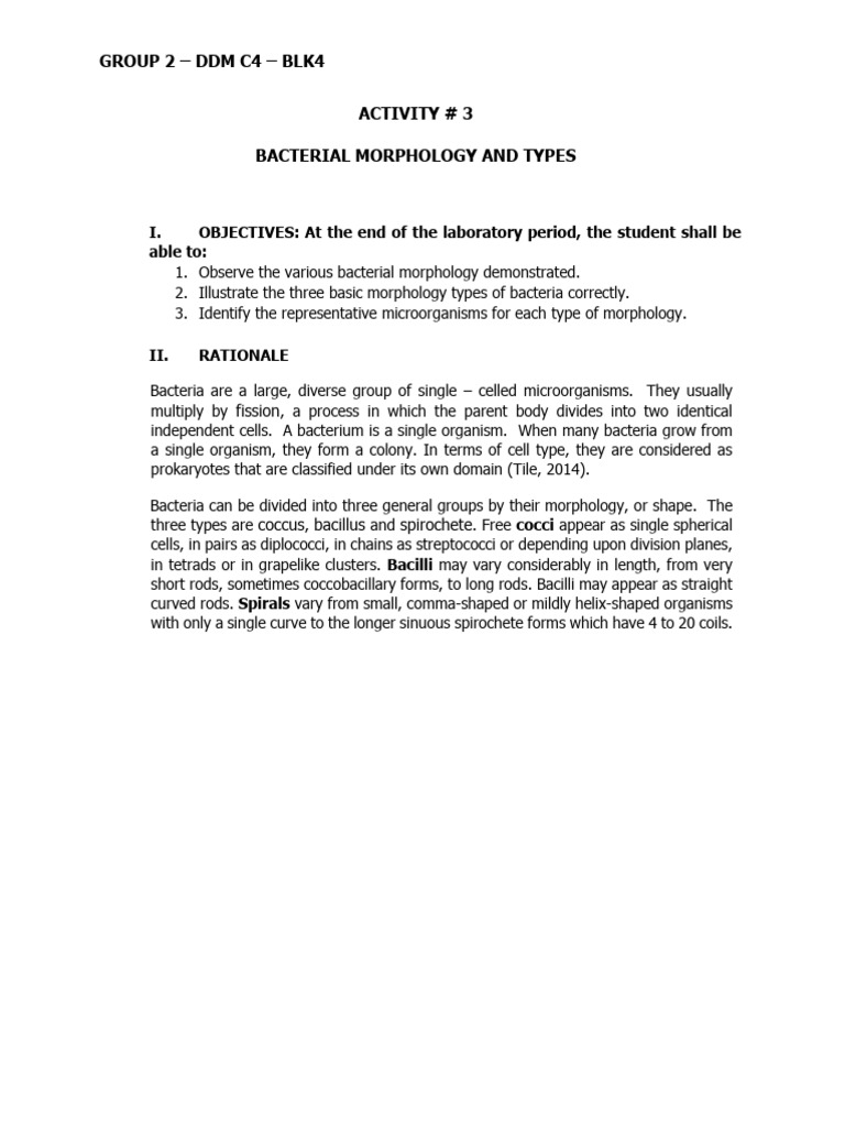 Group 2 - WS3 - DDM C4 | PDF | Bacteria | Microscopy