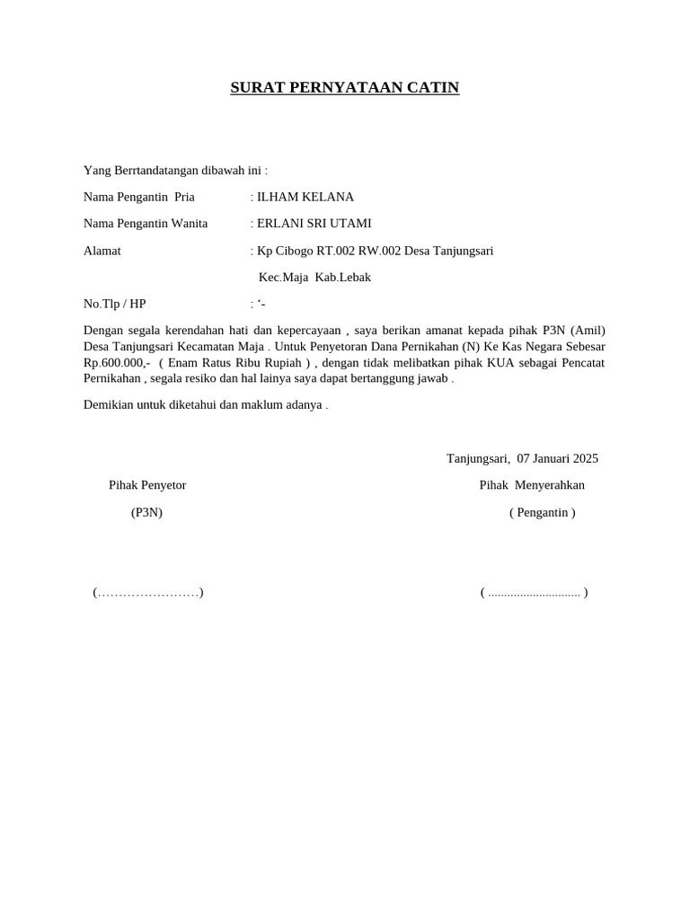 Surat Pernyataan Catin untuk P3N | PDF