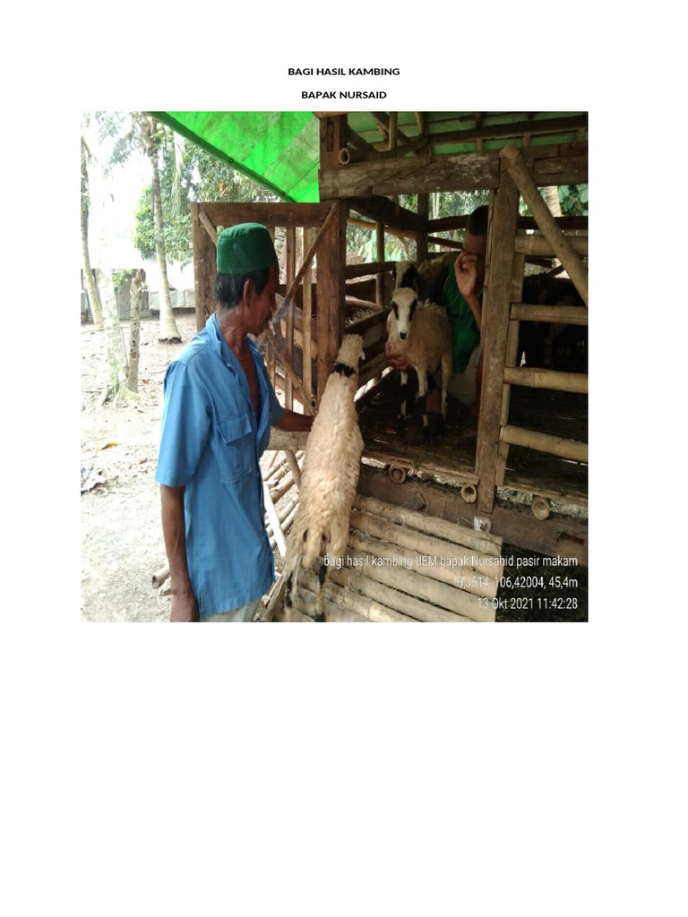 BAGI HASIL KAMBING | PDF