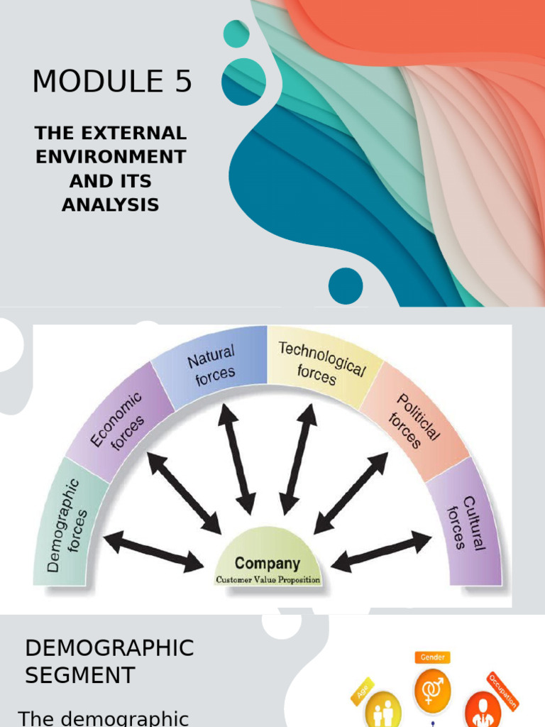 Analyzing External Environment Factors | PDF