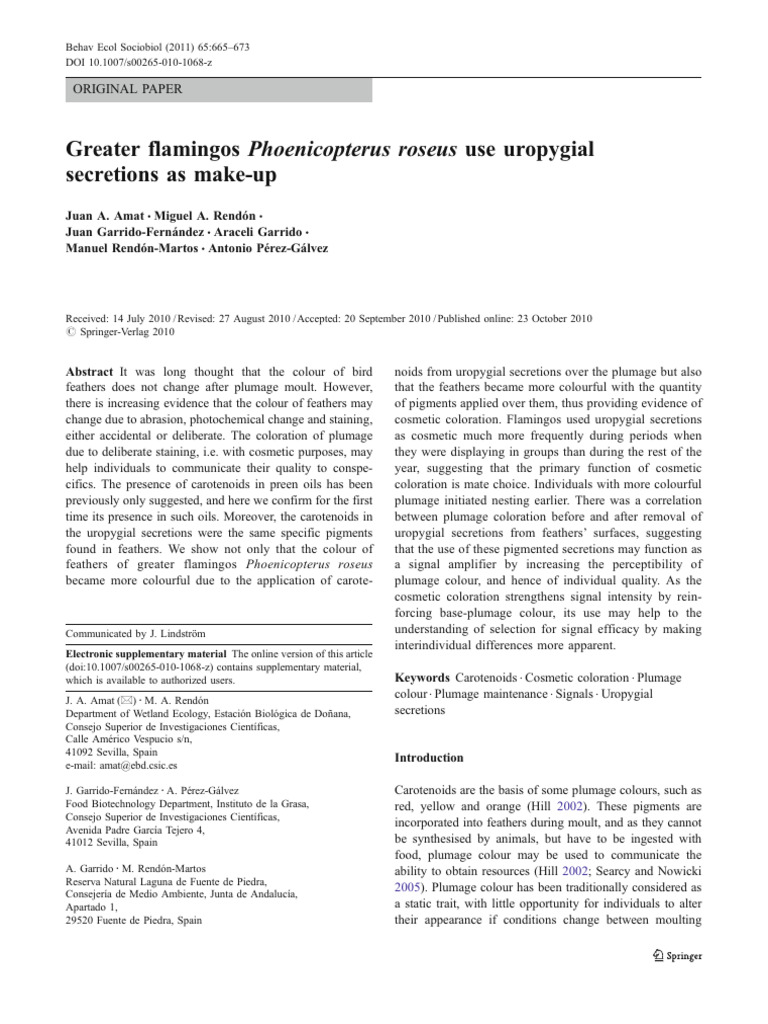 Acrobat Distiller 7.0 (Windows) - 3B2 Total Publishing System 8.07e-W Unicode - 000066 | PDF ...