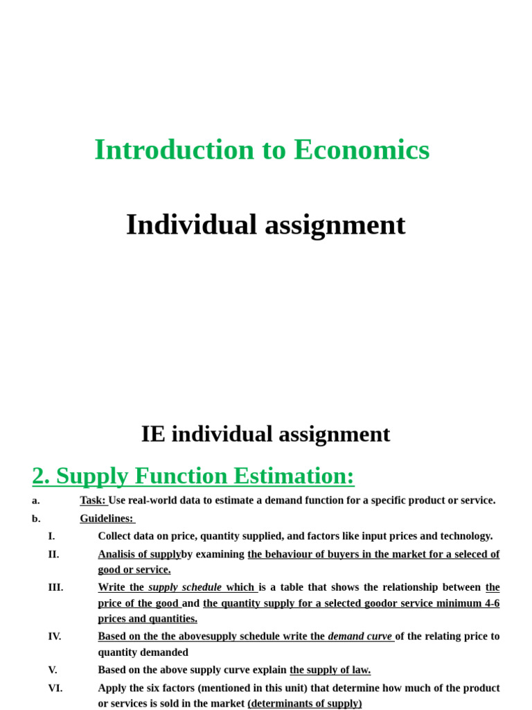 SC IE Supply Function Individual Assignments | PDF