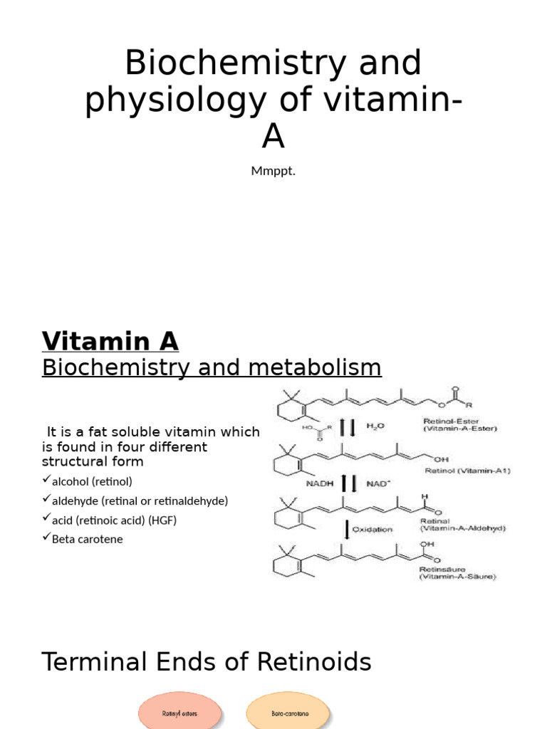 Biochemistry and Physiology of Vitamin A | PDF | Vitamin A | Biology