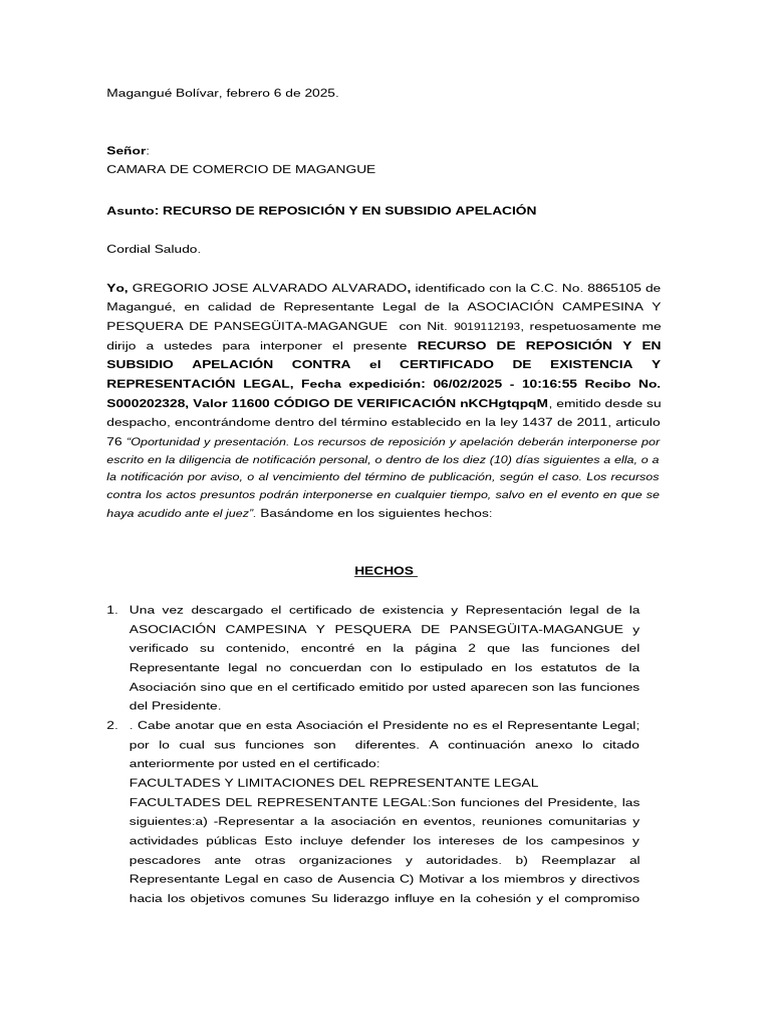 Modelo de Recurso de Reposicion | PDF | Gobierno