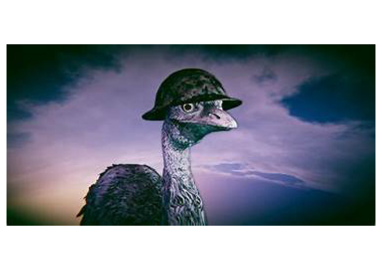 Emu Soldier | PDF
