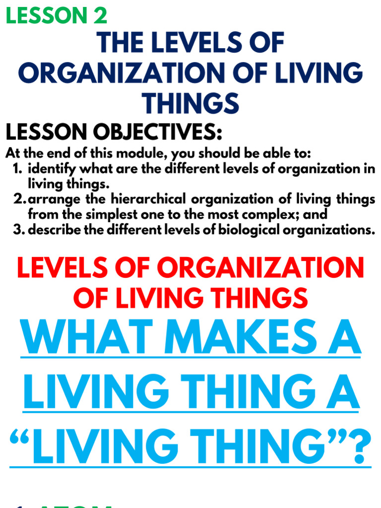 STM 007 Module 2 | PDF