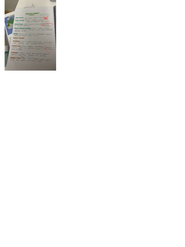 Alınmış Dosya (17) | PDF