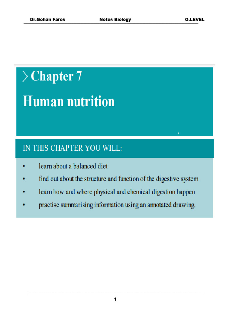 7.Human nutrition | PDF | Digestion | Stomach