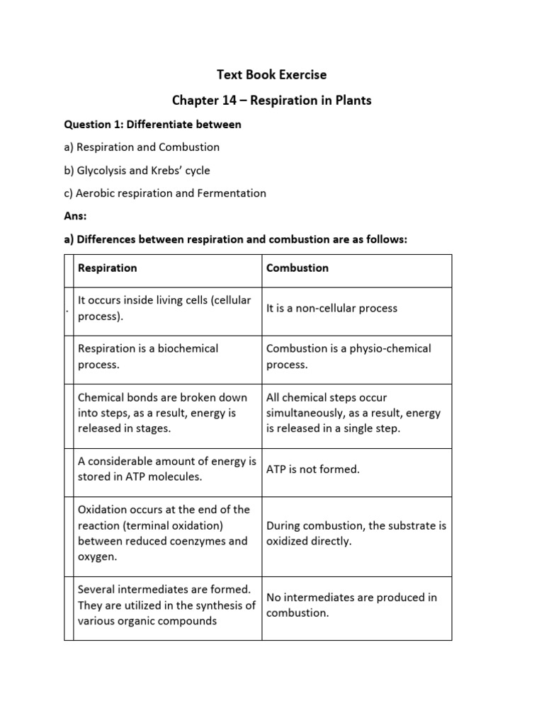 CLASS XI BIO-CH 14 Respiration in Plants | PDF | Cellular Respiration | Glycolysis