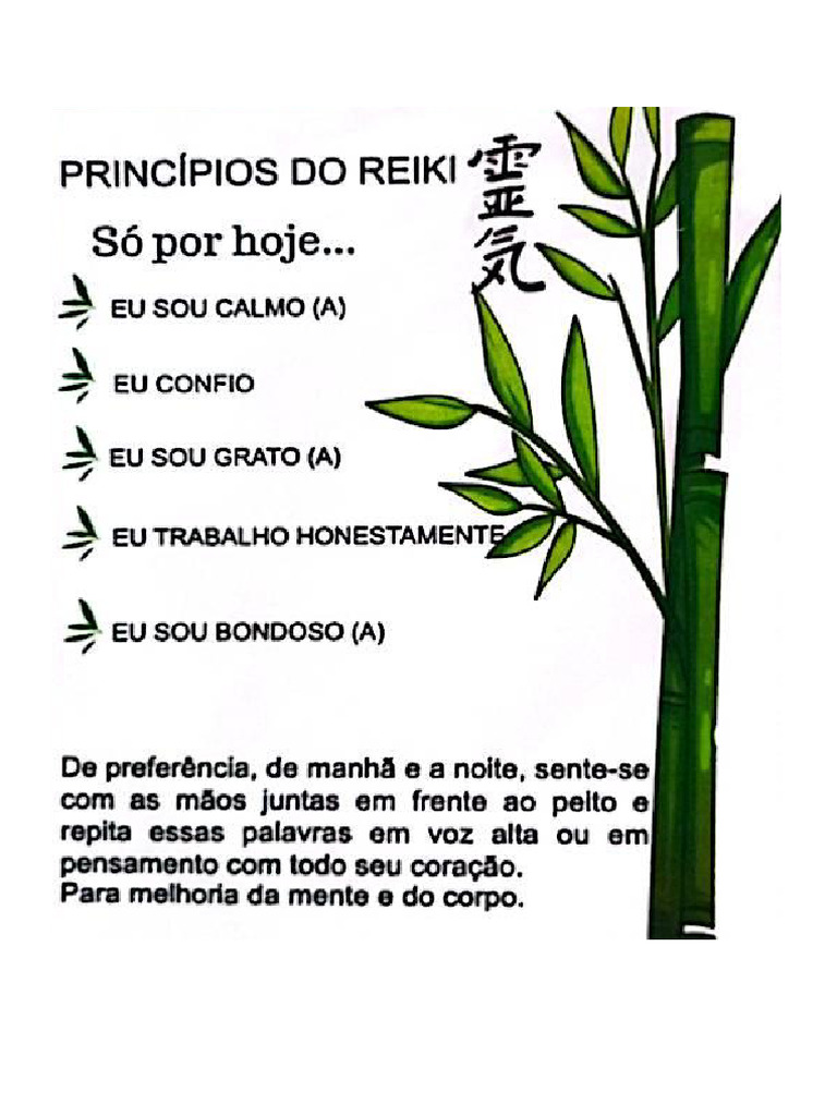 5 Princípios Do Reiki | PDF