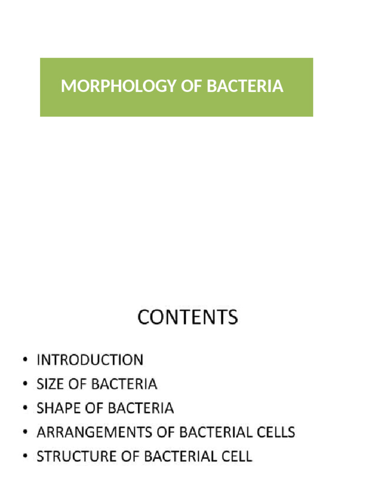 Bacterial Morphology Explained | PDF