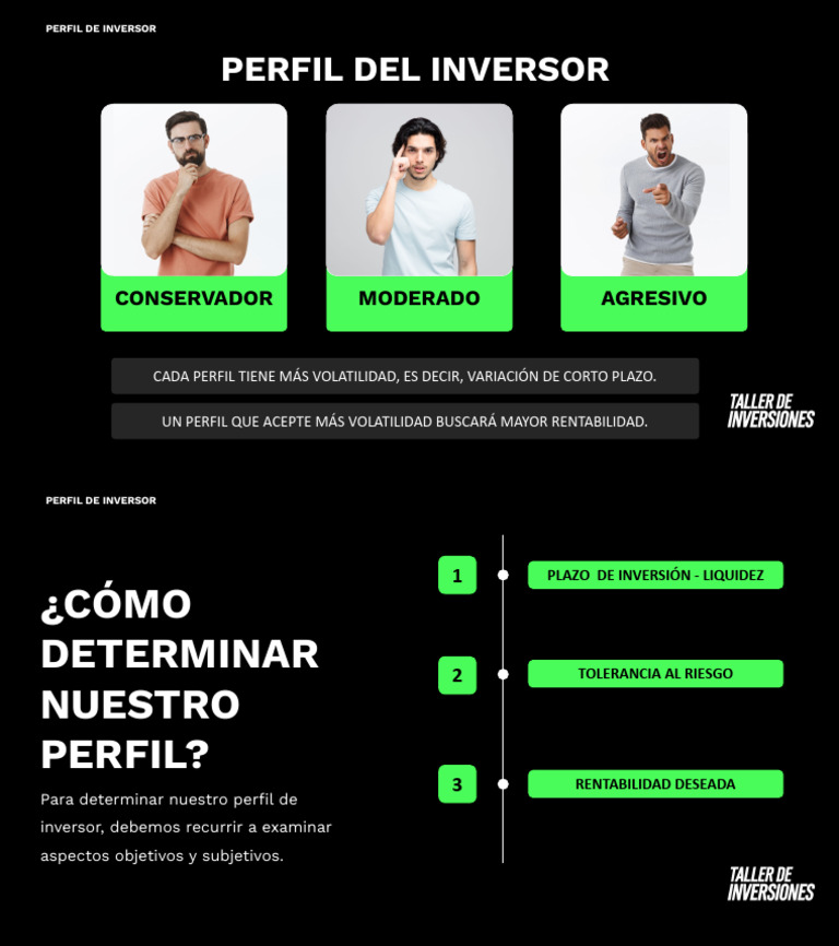 06.perfil de Inversor | PDF