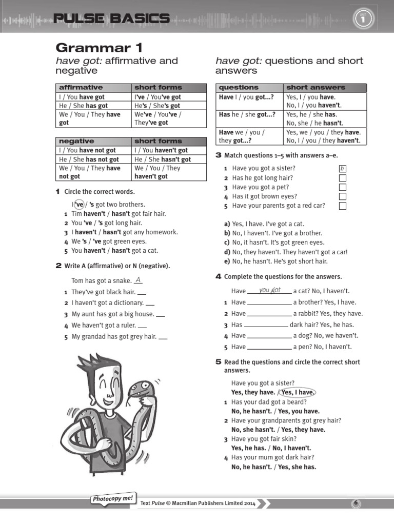 To Have - Question Words - Basics | PDF
