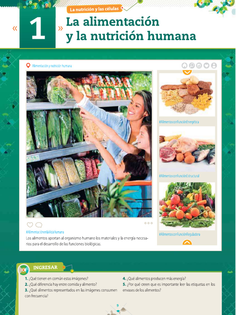 Alimentación y Nutrición Humana | PDF