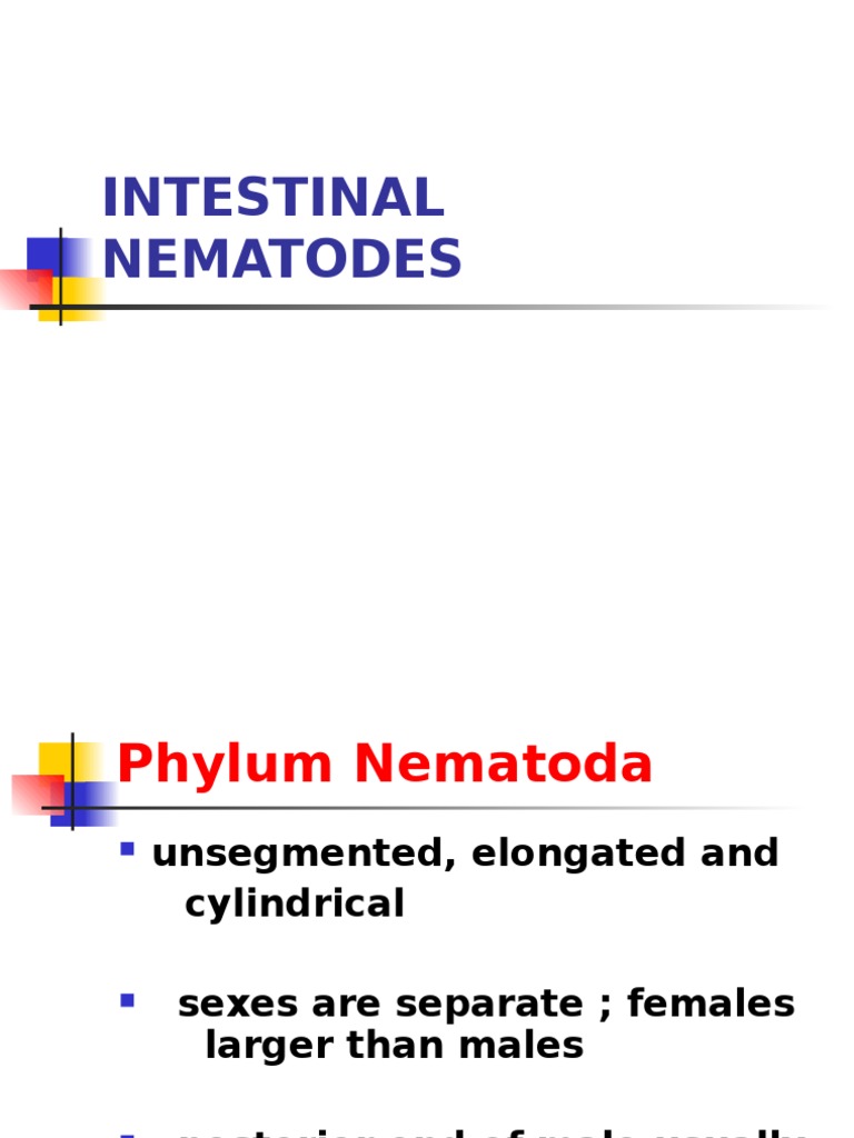 Intestinal Nematodes | PDF | Nematode | Human Feces