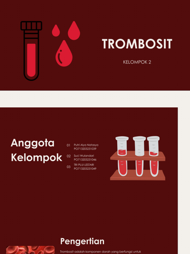 KLP 2 Trombosit | PDF