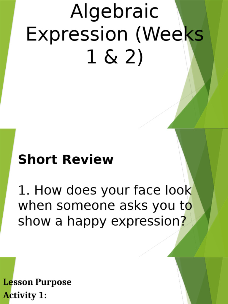 Understanding Algebraic Expressions | PDF | Numbers | Variable ...