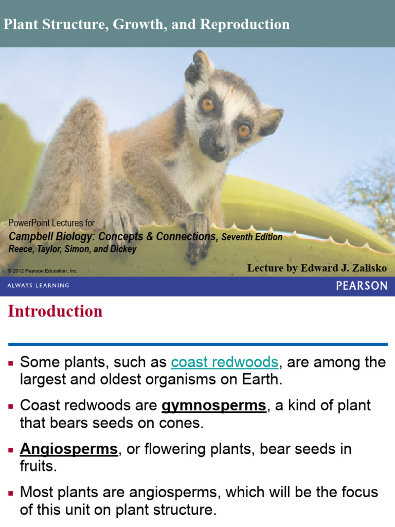 Lecture 1 - Plant Structure, Growth, and Reproduction | PDF ...