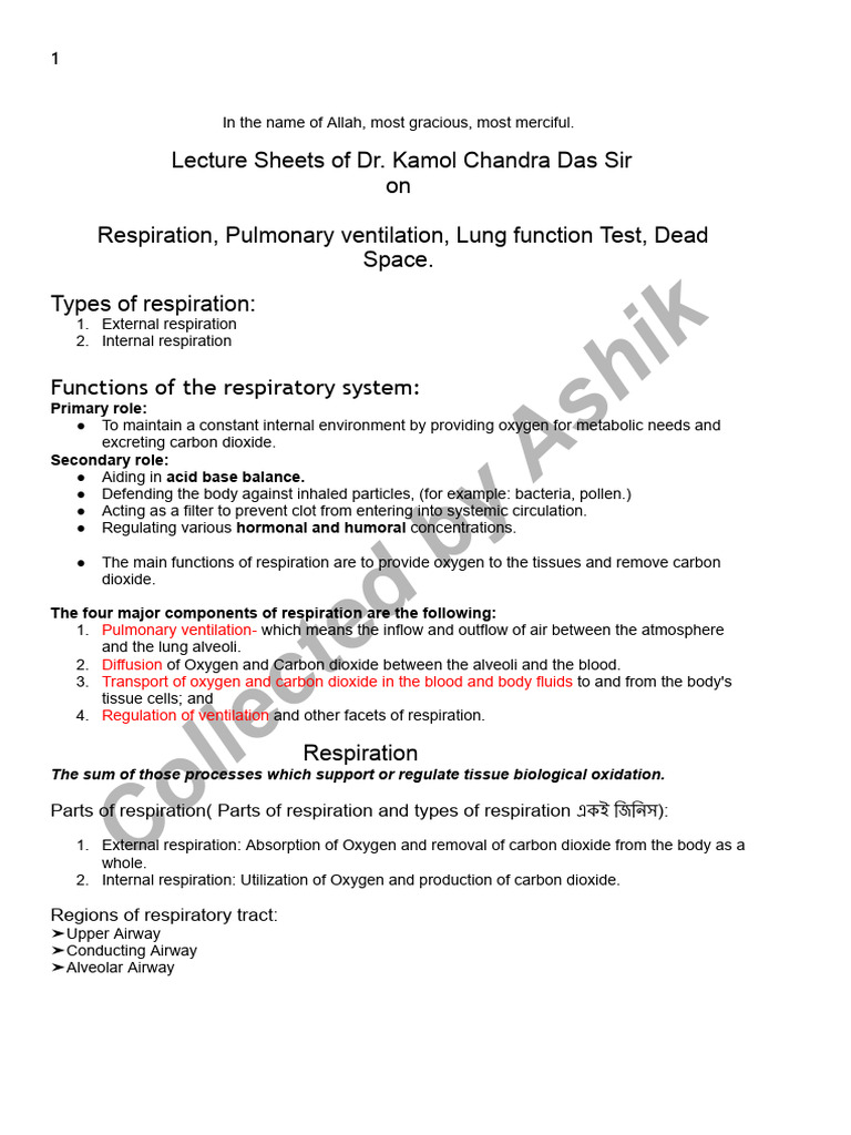 Physiology3rd Card. | PDF | Respiratory System | Lung