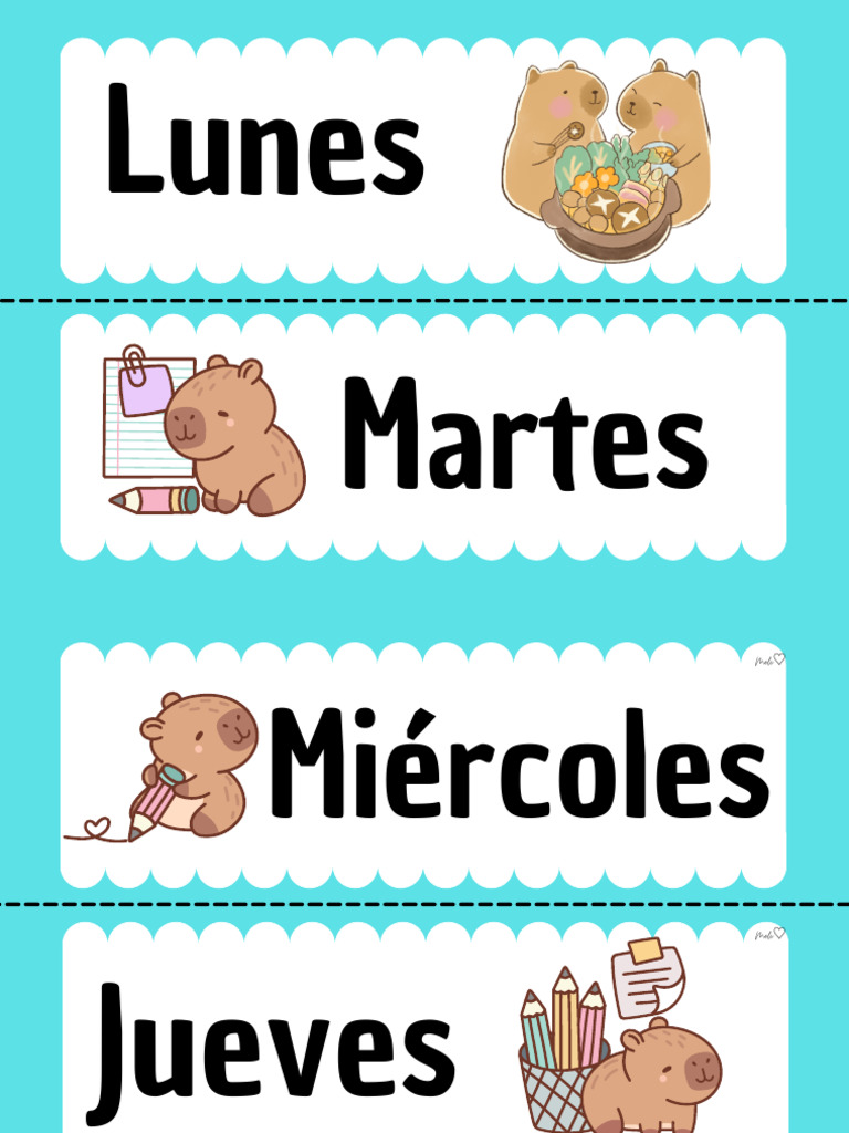 Días de La Semana Vocabulario Flashcards | PDF