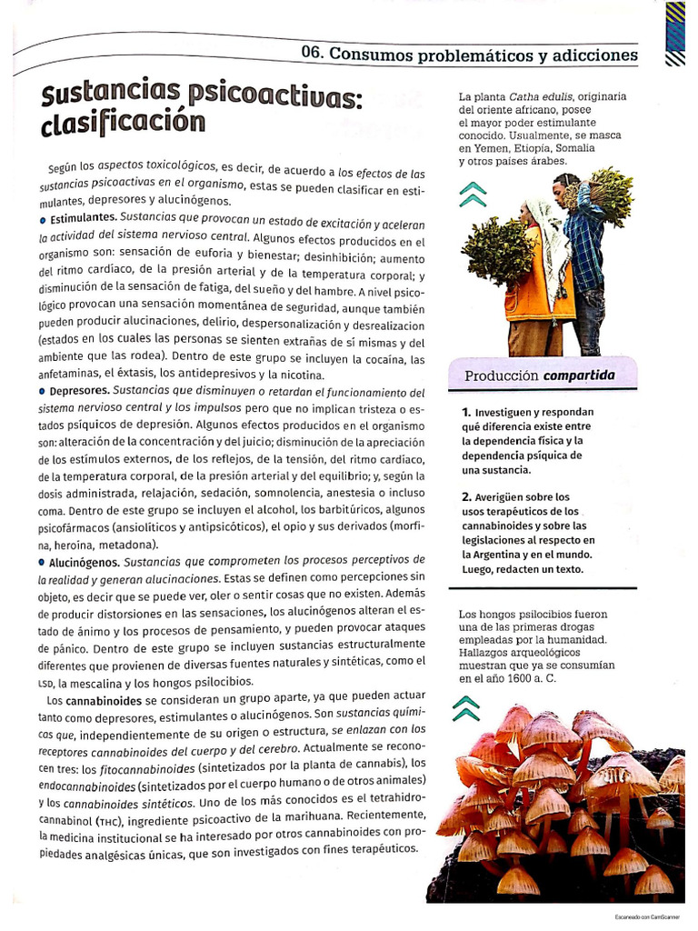 Sustancias Psicoactivas. | PDF