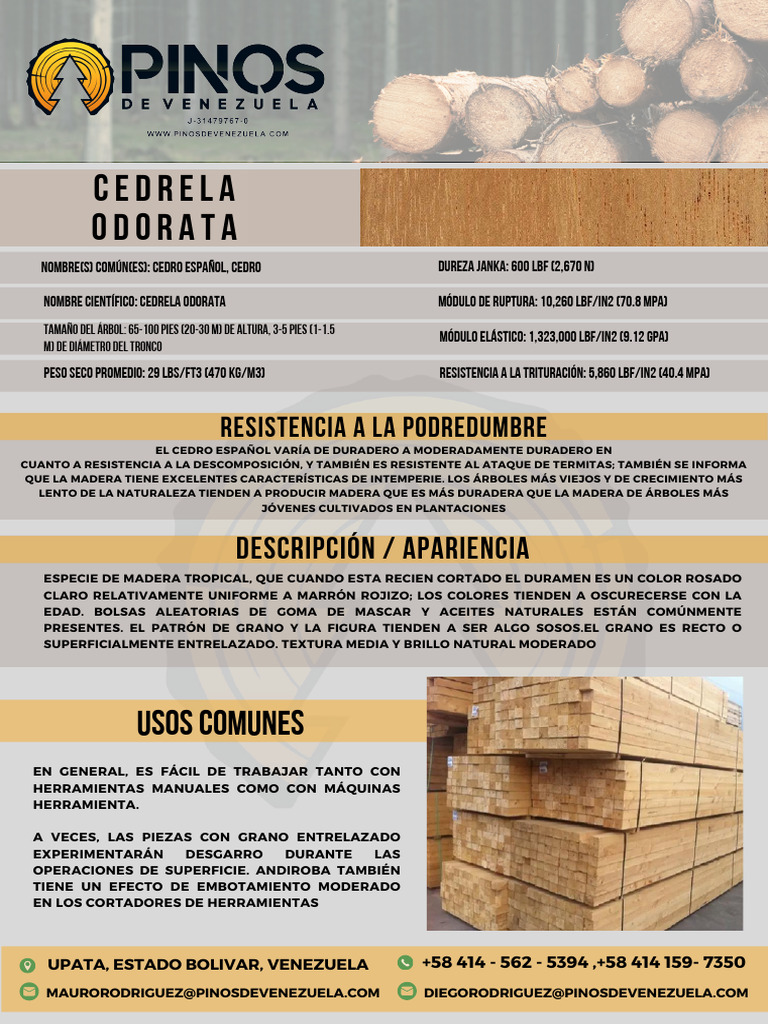 Dureza y características del cedro amargo | PDF