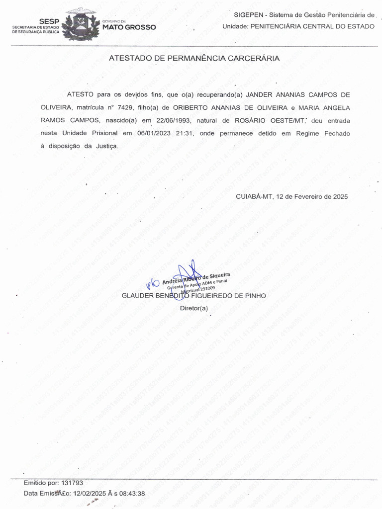 Jander Ananias Campos de Oliveira 12-02-25 | PDF