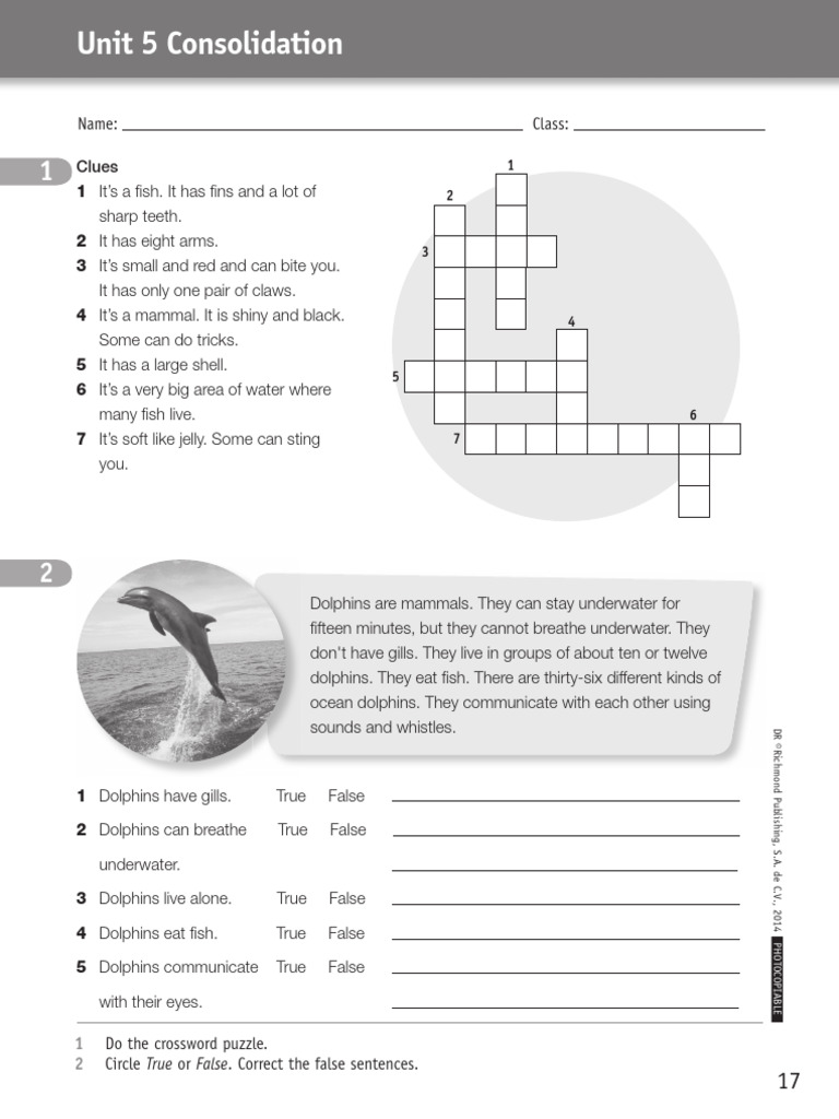 Language Worksheets B5 - Unit 5 Consolidation | PDF