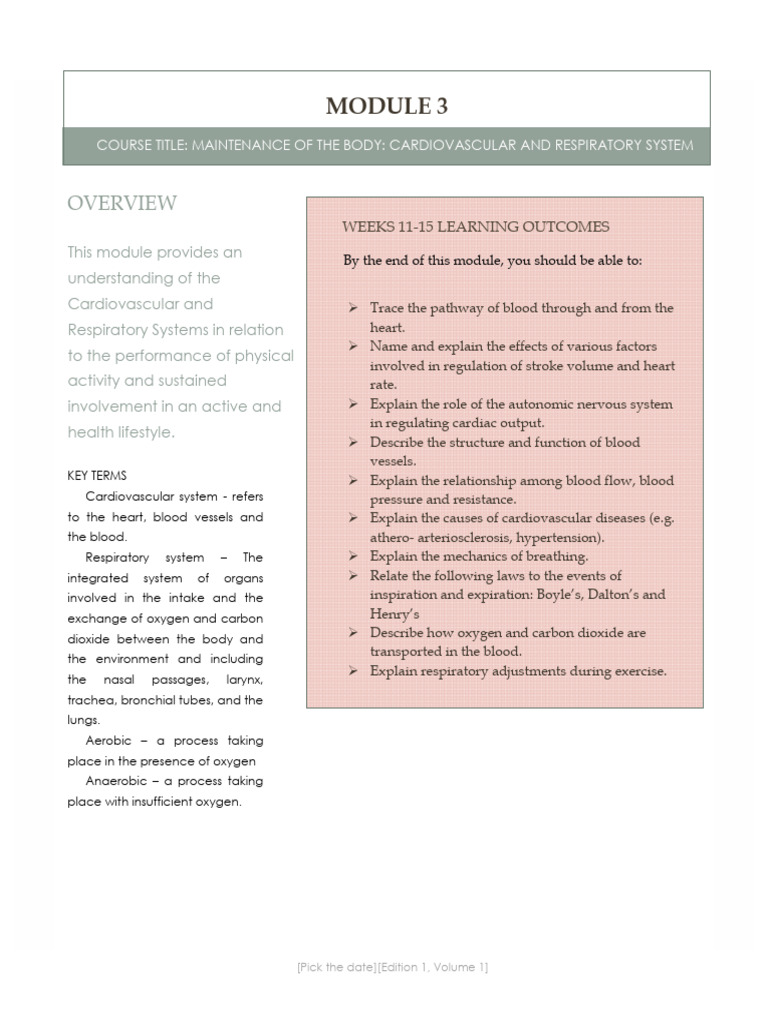 module 3 anatomy | PDF | Heart Valve | Heart