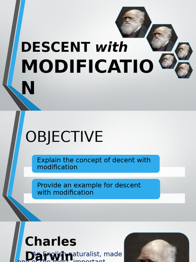 Decent With Modification | PDF