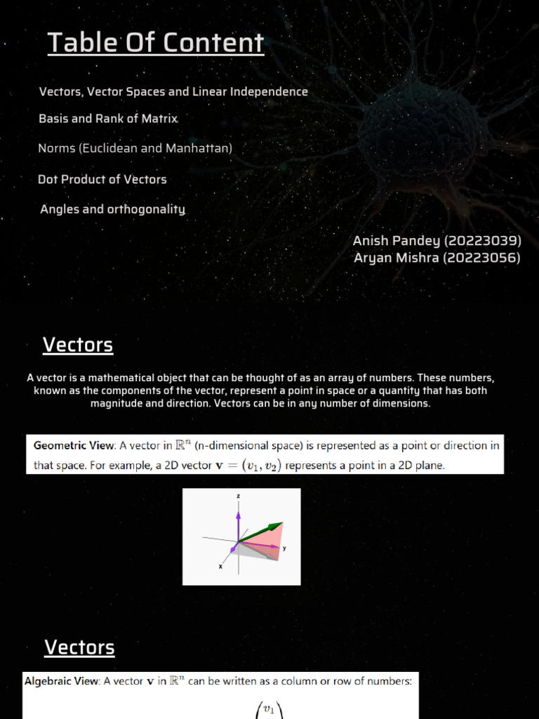 Understanding Vectors in Linear Algebra | PDF | Vector Space | Euclidean Vector