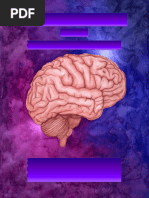 Acceso a Neuronup: Guía Rápida | PDF