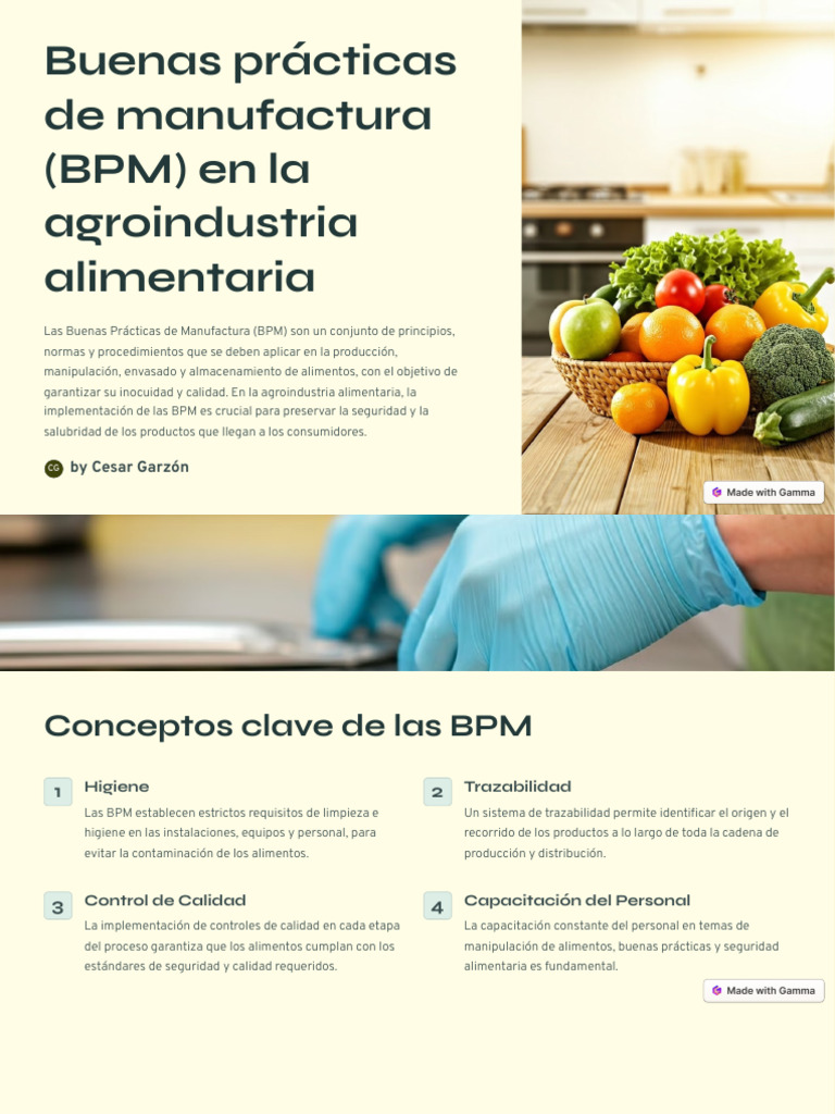 Buenas Practicas de Manufactura BPM en La Agroindustria Alimentaria | PDF | Seguridad alimenticia