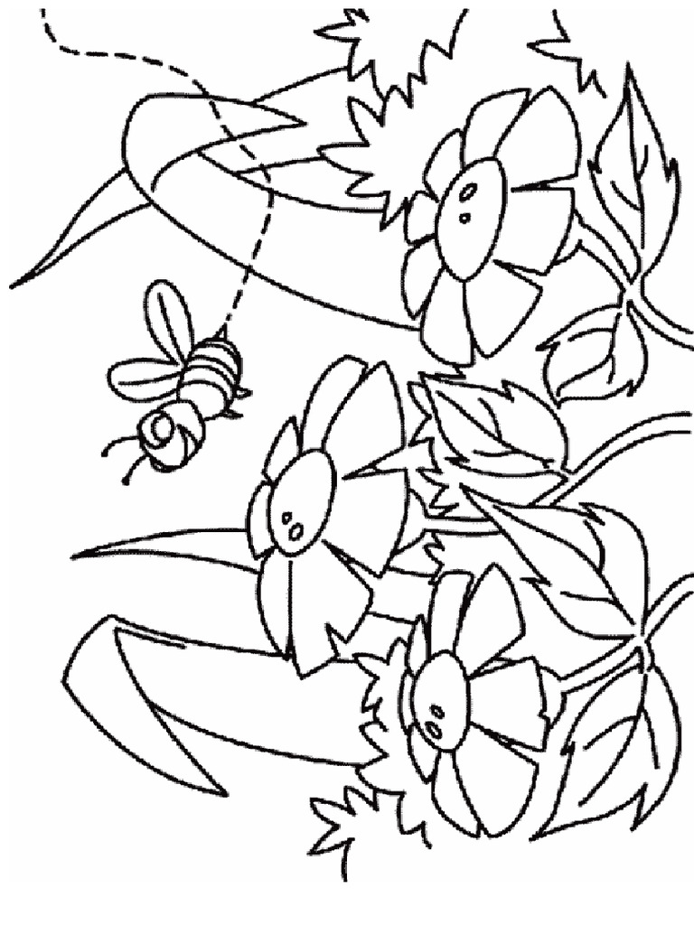 Colouring in 1 | PDF