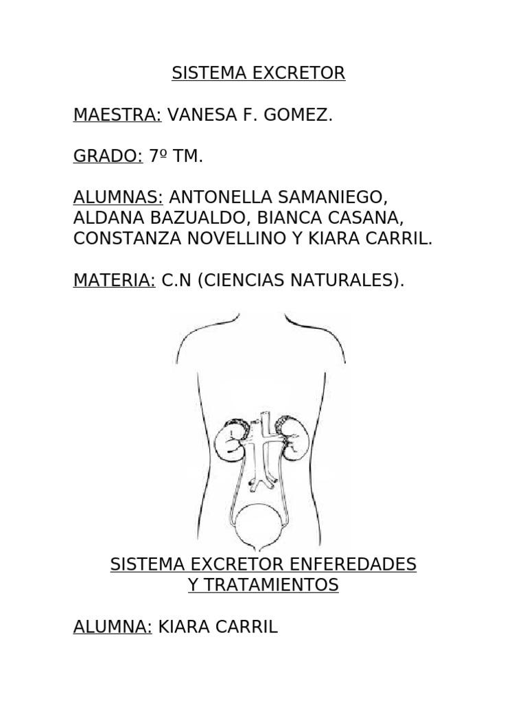 SISTEMA EXCRETOR | PDF