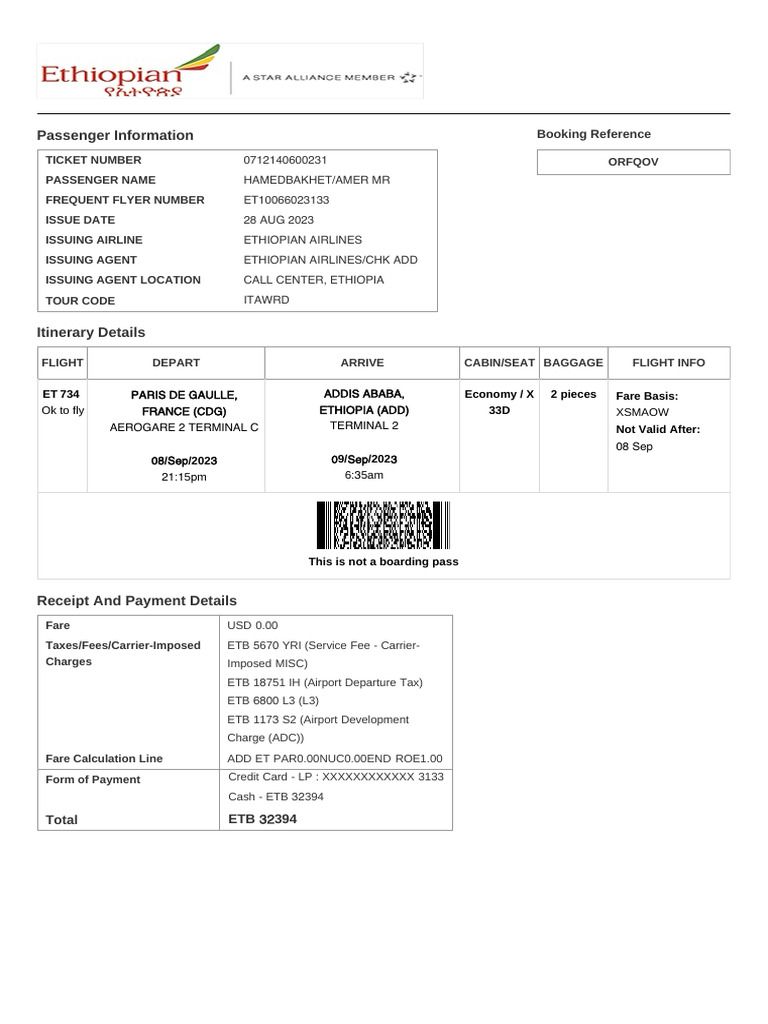 Electronic Ticket Receipt, September 08 For MR AMER HAMEDBAKHET PDF ...
