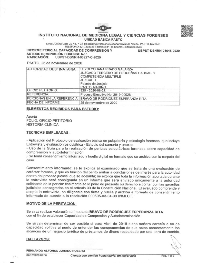 2019-00026-Dictamen Pericial-2 | PDF